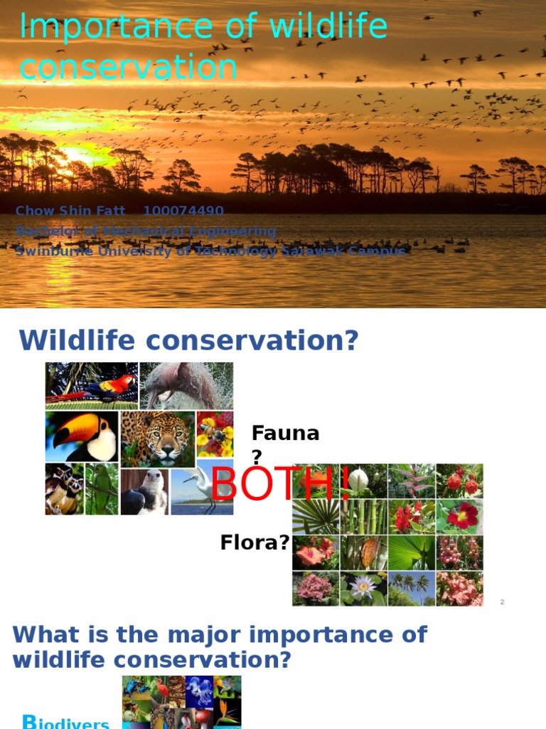 Importance of Wildlife Conservation Updated | PDF