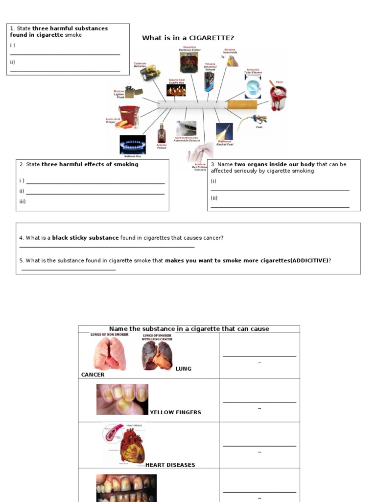 What Is in A Cigarette | PDF