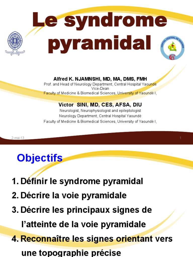 Comprendre le syndrome pyramidal | PDF | Cortex cérébral | Neuroanatomie