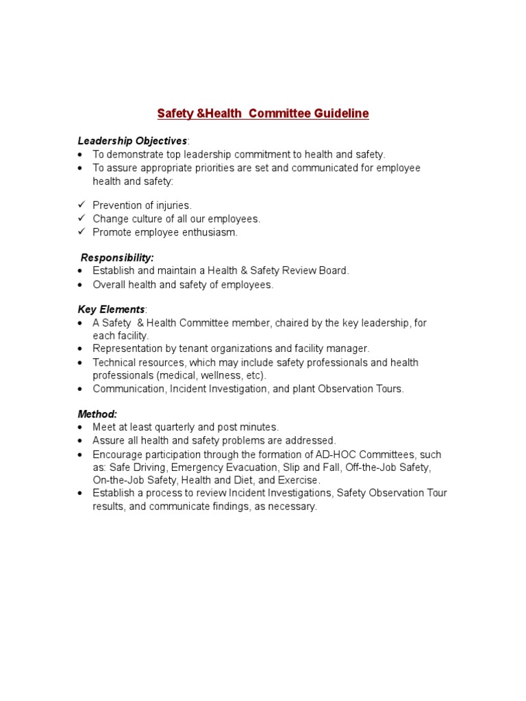 Safety & Health Committee Guidelines | PDF