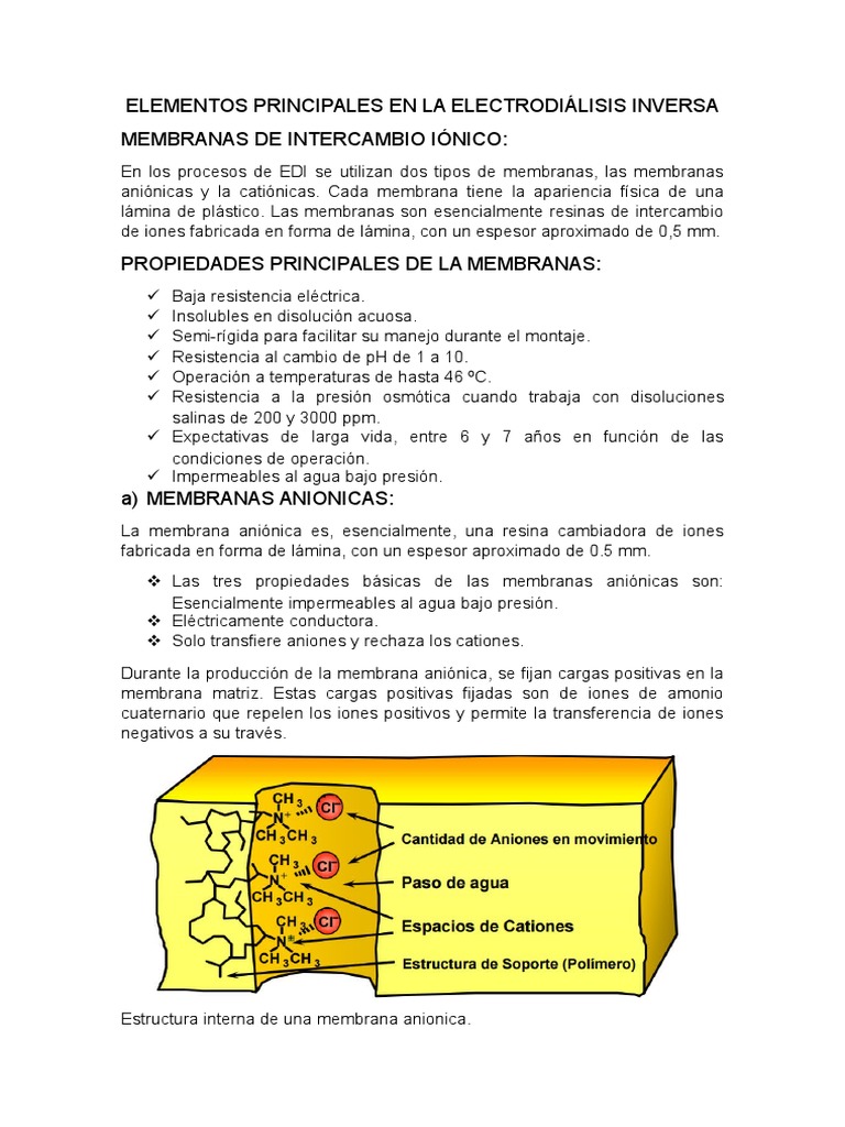 Elementos Principales en La Electrodiálisis Inversa | PDF | Ion ...