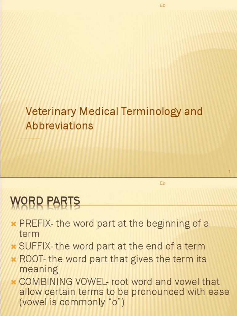 Veterinary Terminology and Abbreviations | PDF | Medical Specialties ...