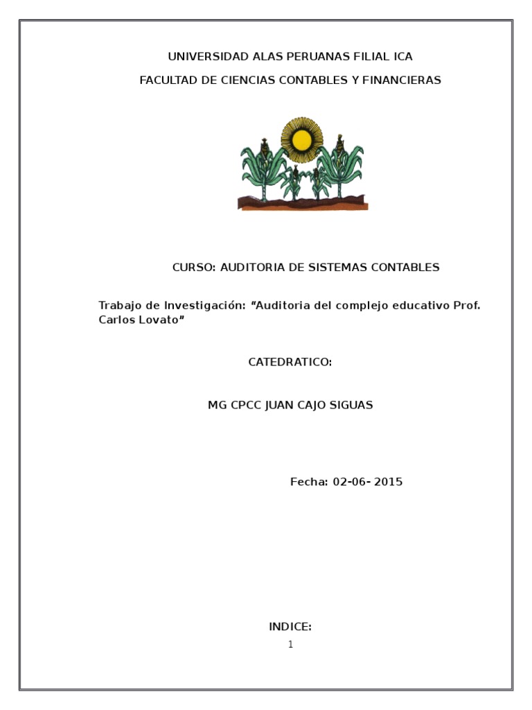 Informe Final de Auditoria Informatica | PDF | Bases de datos | Software