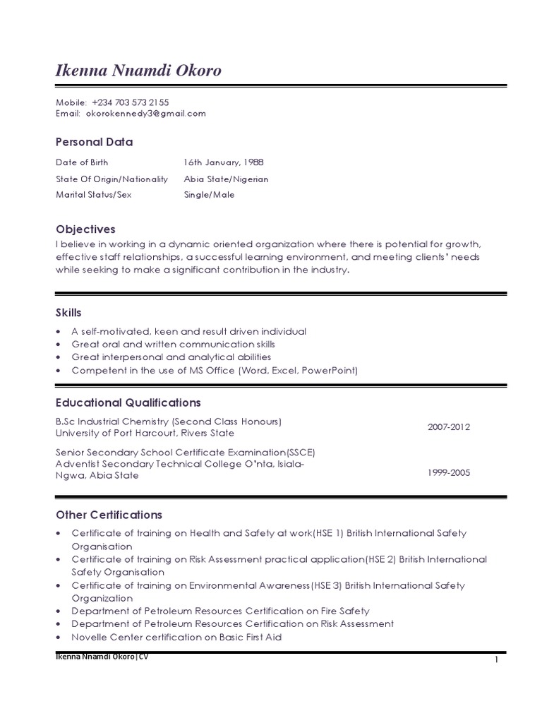 Ikenna Okoro CV: Industrial Chemist | PDF | Career & Growth | Computers