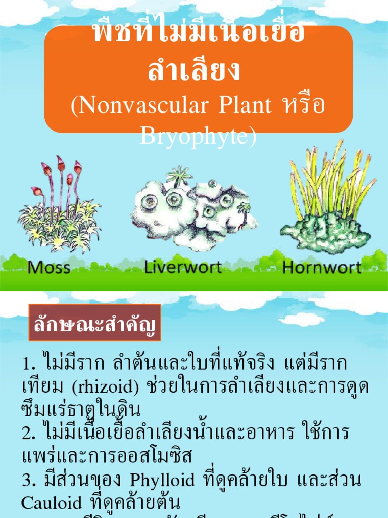 Bryophyte | PDF