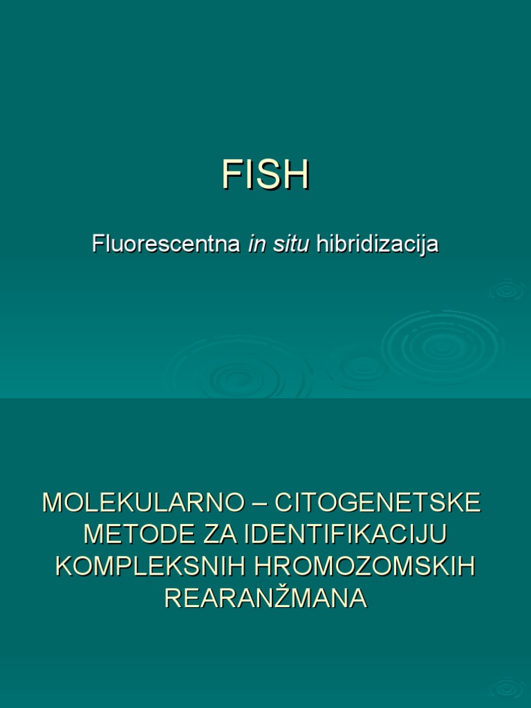 Fish | PDF