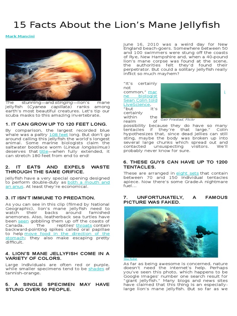 15 Facts About The Lion | PDF