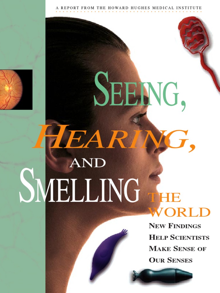 Book Seeing Hearing Sensing The World | PDF | Visual Cortex | Retina