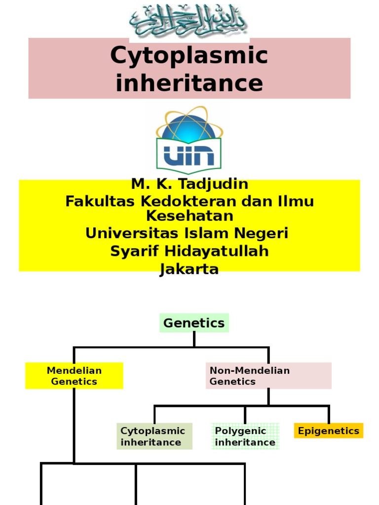 Cytoplasmic Inheritance Cell Biology Mitochondrion