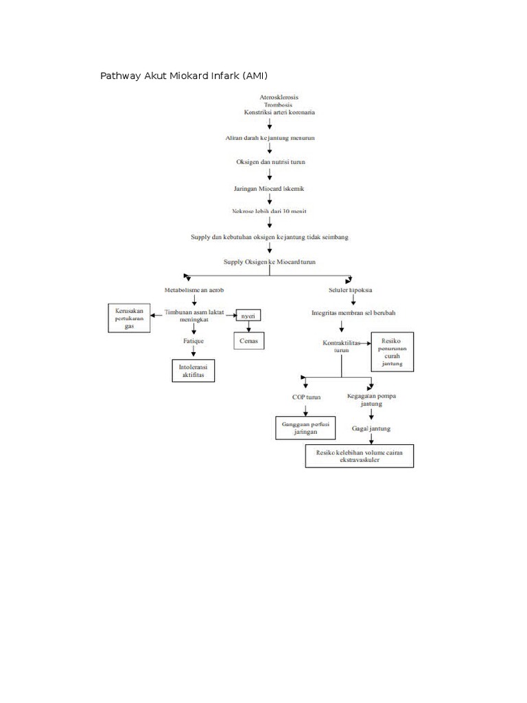 Pathway Akut Miokard Infark (AMI) | PDF