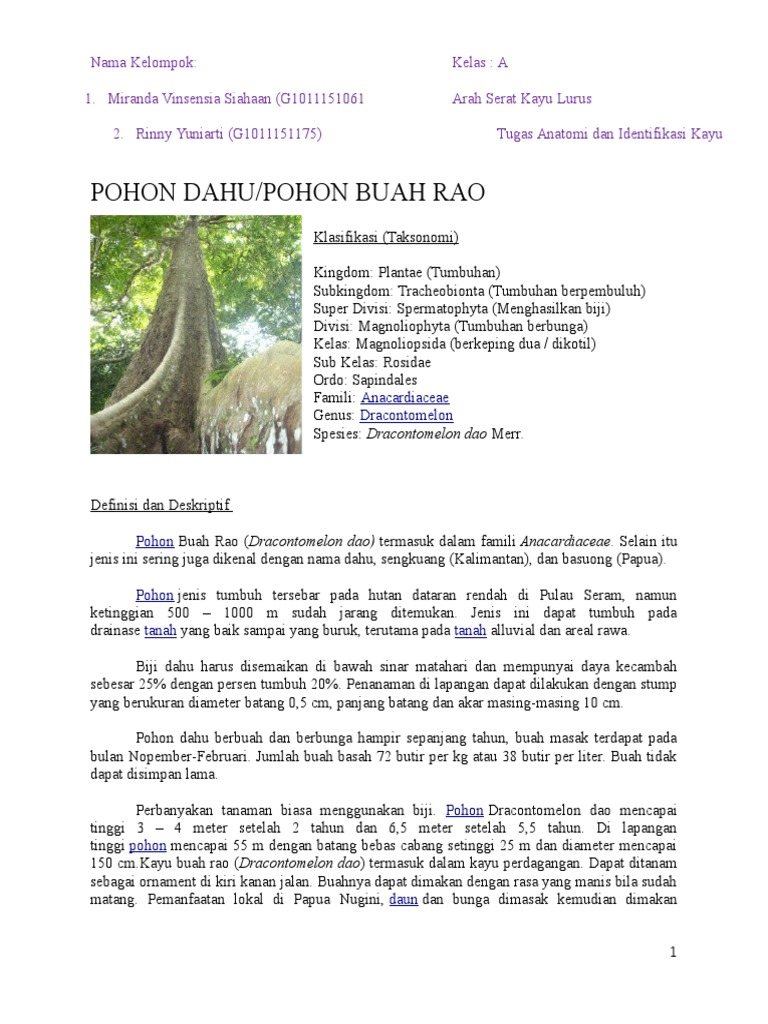 Pohon Dahu/Pohon Buah Rao | PDF