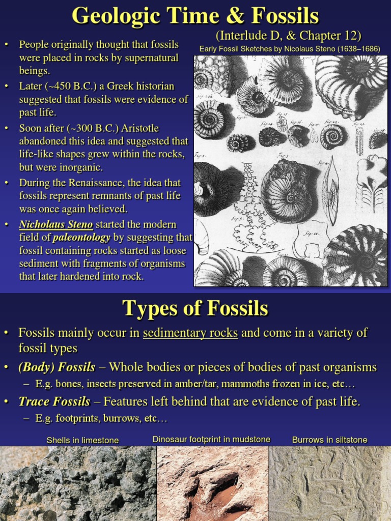 12 Geologic Time | PDF | Radioactive Decay | Geology