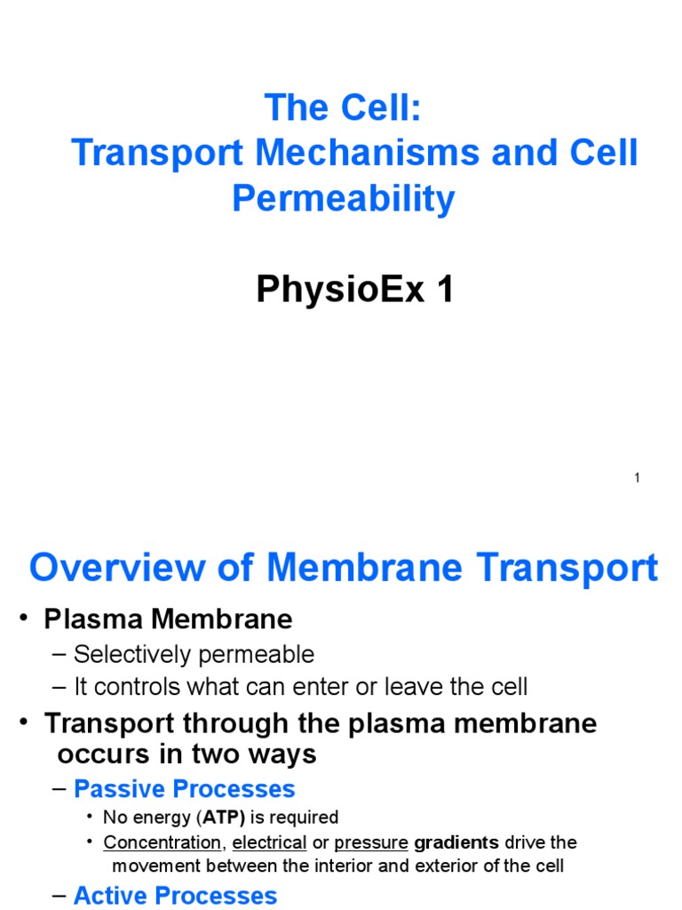 The Cell: Transport Mechanisms and Cell Permeability: Physioex 1 | PDF ...