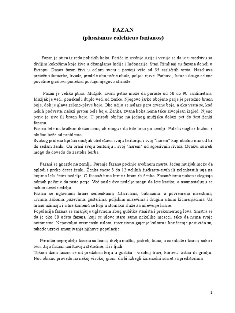 Fazan | PDF