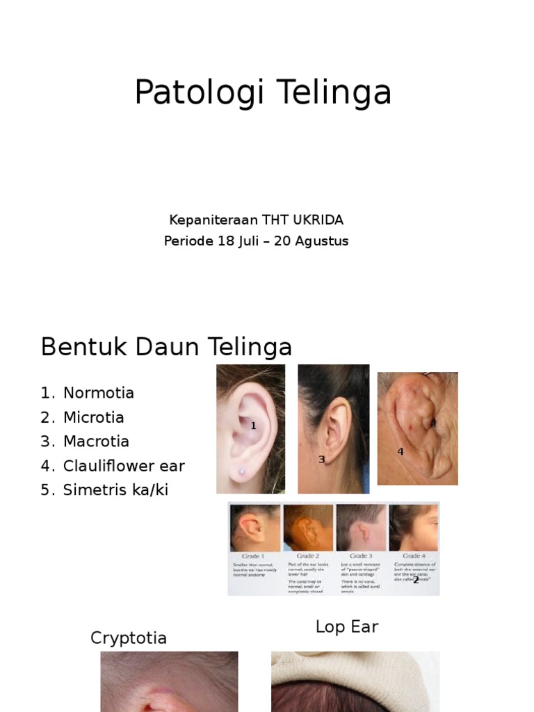 Telinga | PDF | Sains & Matematika