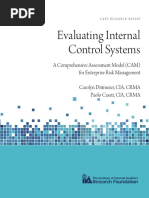 Ey Internal Control Toolkit WCGW For Small Ngos en | PDF