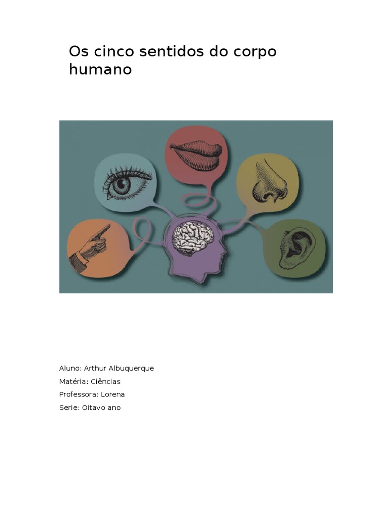 Os Cinco Sentidos Do Corpo Humano | Orelha | Olho