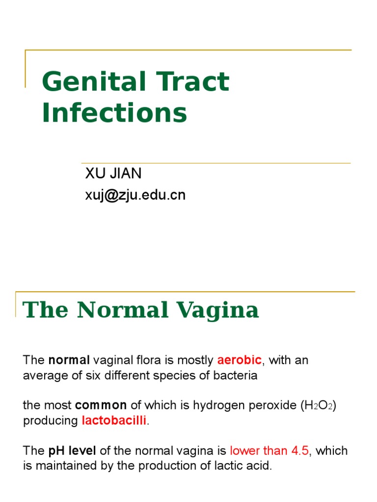 An Overview of Common Genital Tract Infections: Etiology, Diagnosis and ...
