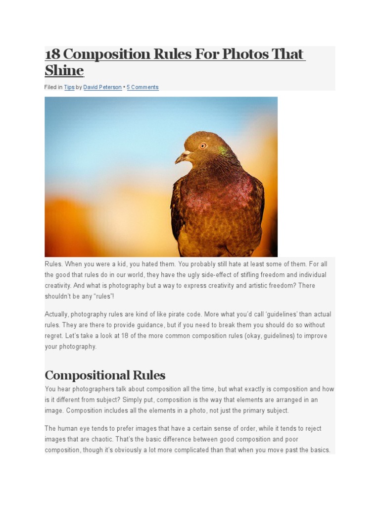 18 Composition Rules For Photos That Shine | PDF | Composition (Visual ...