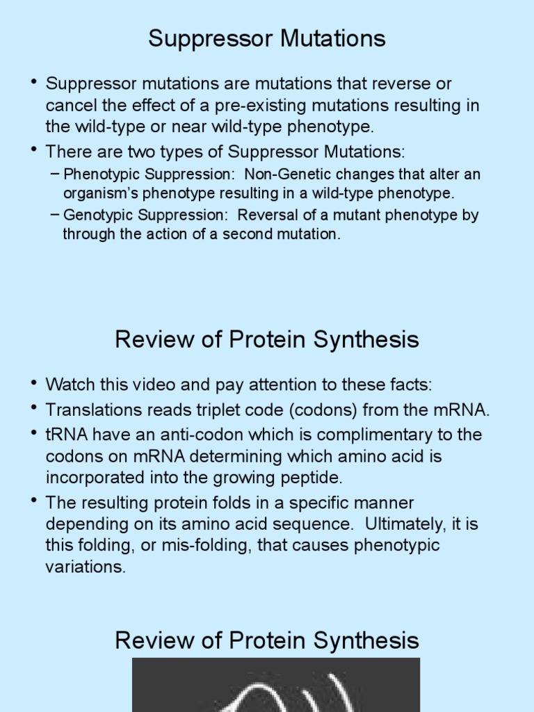 Genetic Mutation Suppressors | PDF | Genetic Code | Translation (Biology)