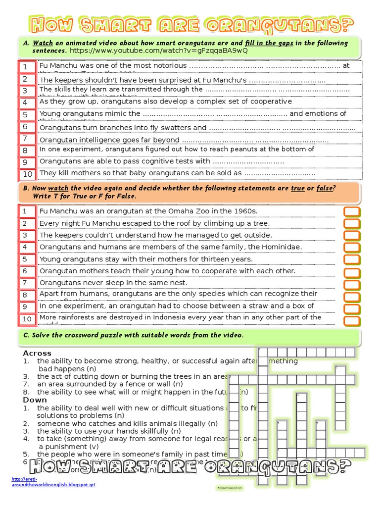 How Smart Are Orangutans? (Worksheet) | PDF | Orangutan | Hominidae