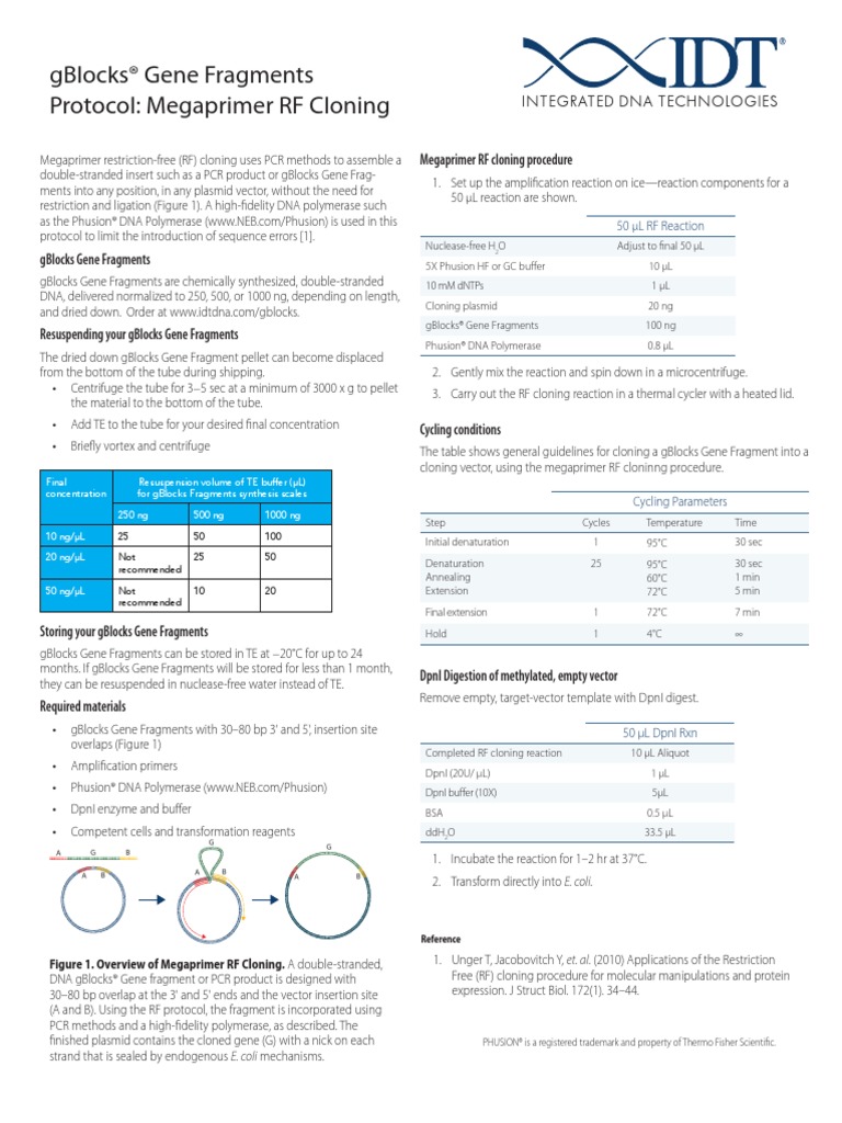 Protocol for Restriction-Free Cloning of gBlocks® Gene Fragments Using ...