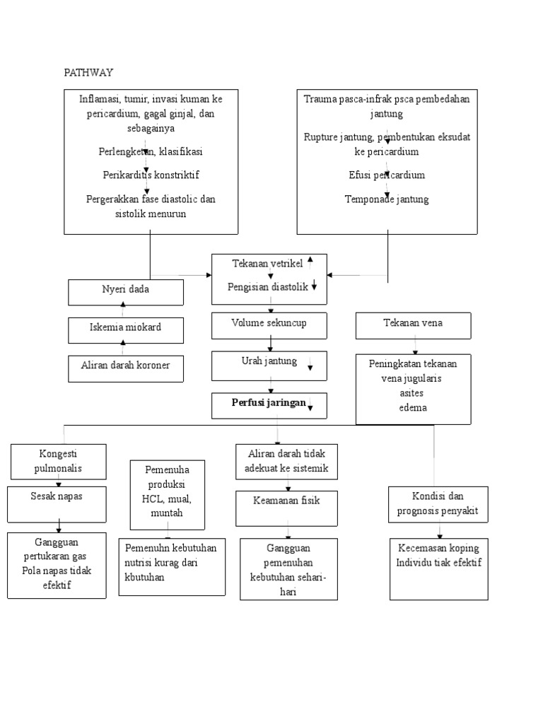 Pathway Perikarditis | PDF
