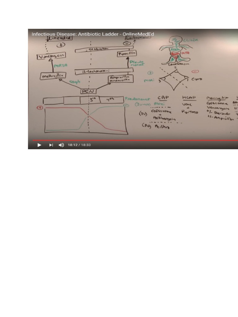 Antibiotic Ladder | PDF