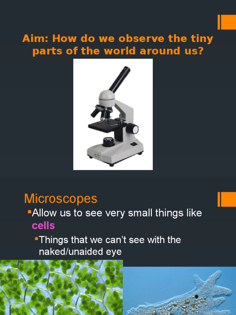 Microscopes Short | PDF | Computers | Technology & Engineering