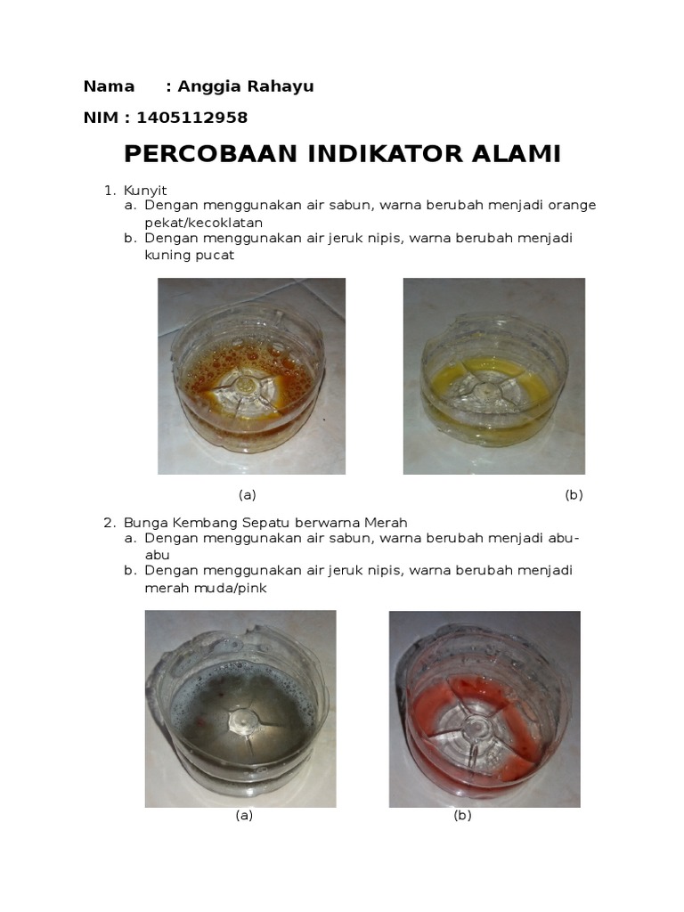 Indikator Alami | PDF