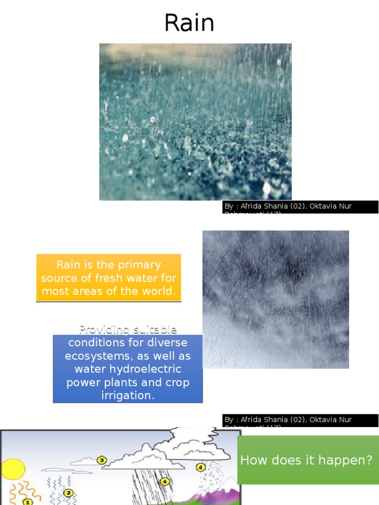 Explanation About Rain | PDF