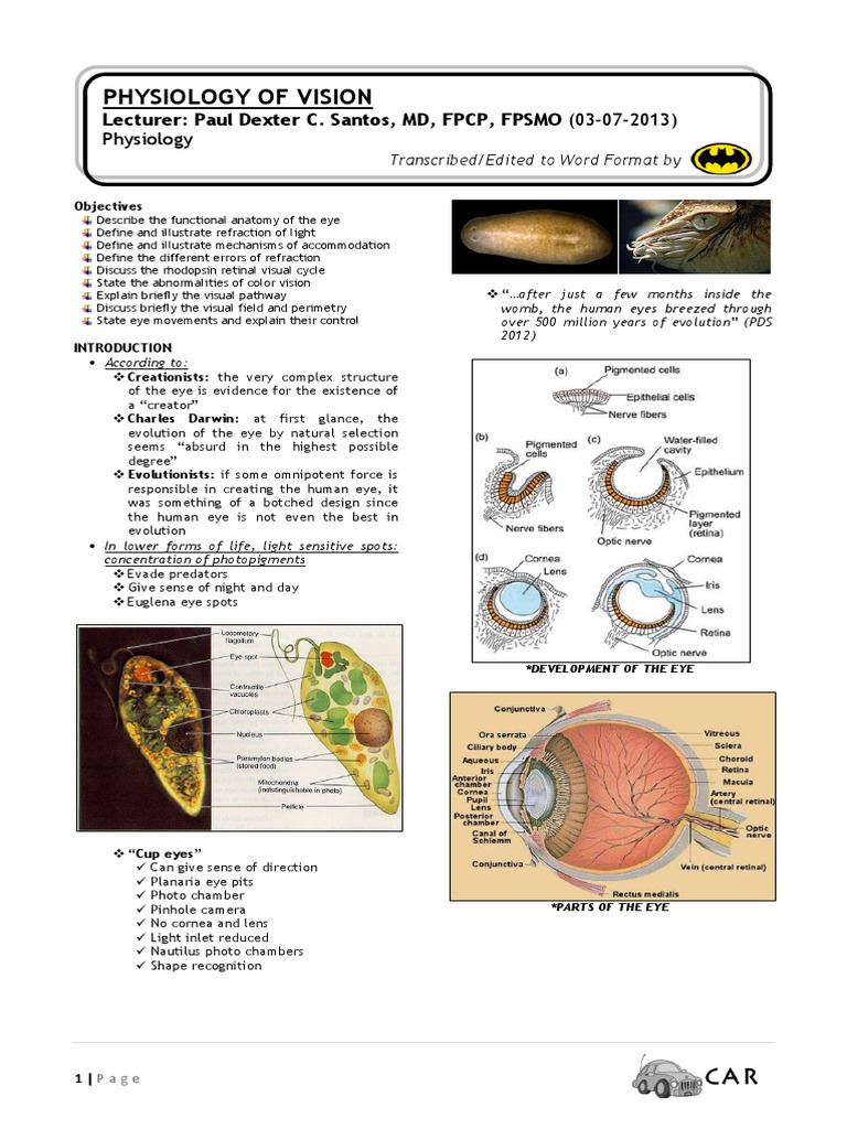 Physiology Of Vision Pdf Pdf Visual System Lens Optics