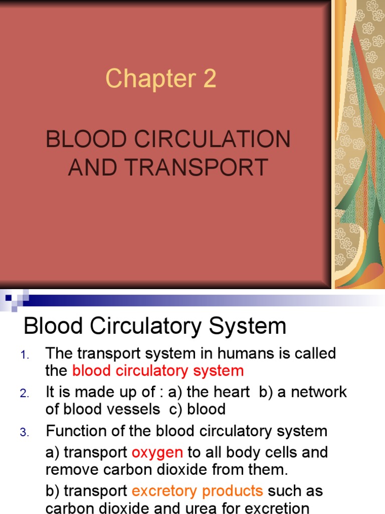 Chapter 2 Blood Circulation & Transport | PDF | Circulatory System | Heart