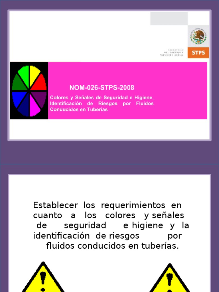 Presentación Nom-026 | PDF