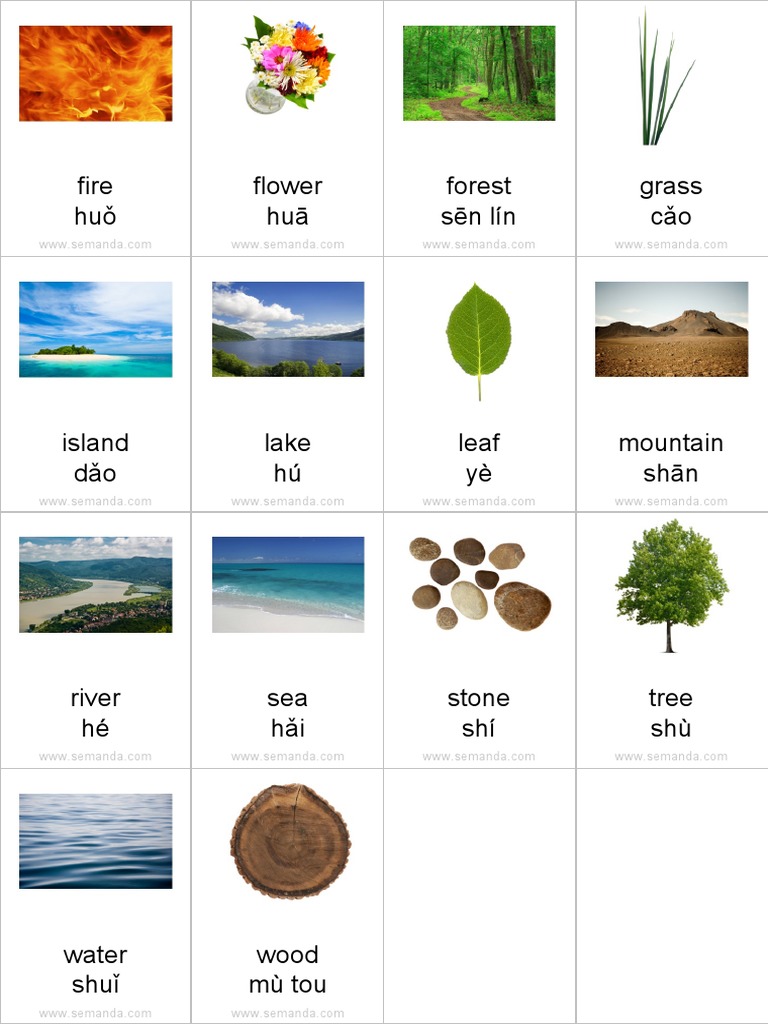 Flashcards Nature | PDF | Plants | Nature