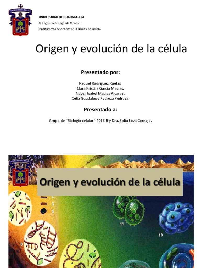 Origen y Evolución de La Celula PDF | PDF | Rna | Biología Celular)