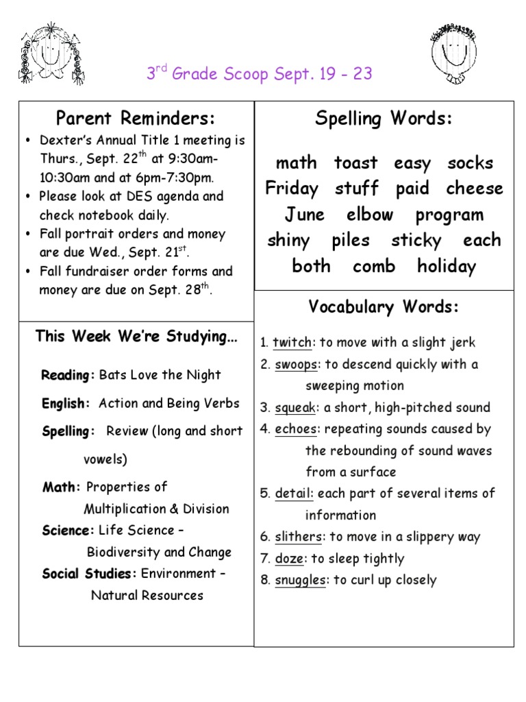 Bats Love The Night | PDF