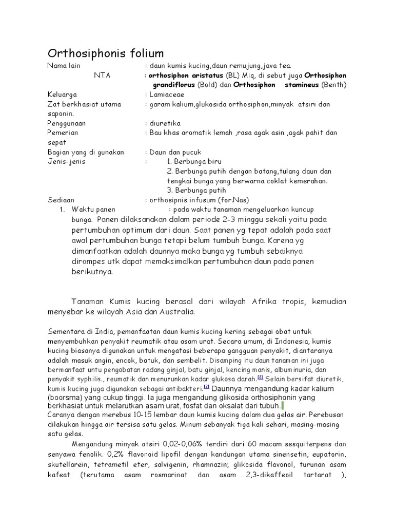 Orthosiphonis Folium | PDF