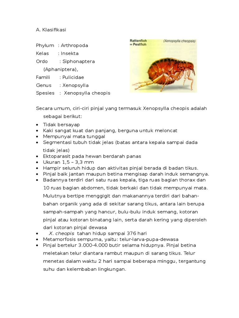 Klasifikasi Pinjal | PDF