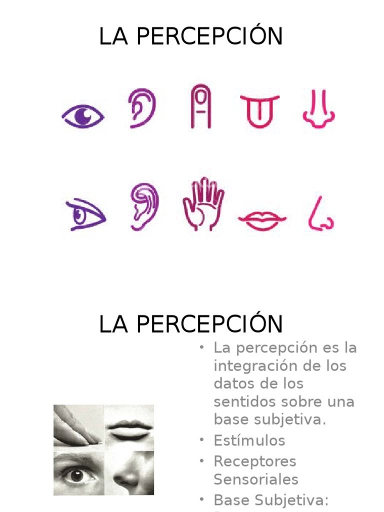 Percepción Subjetiva y Psicología Gestalt | PDF | Percepción ...