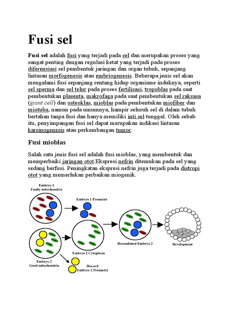Proses Fusi Sel dan Pentingnya | PDF