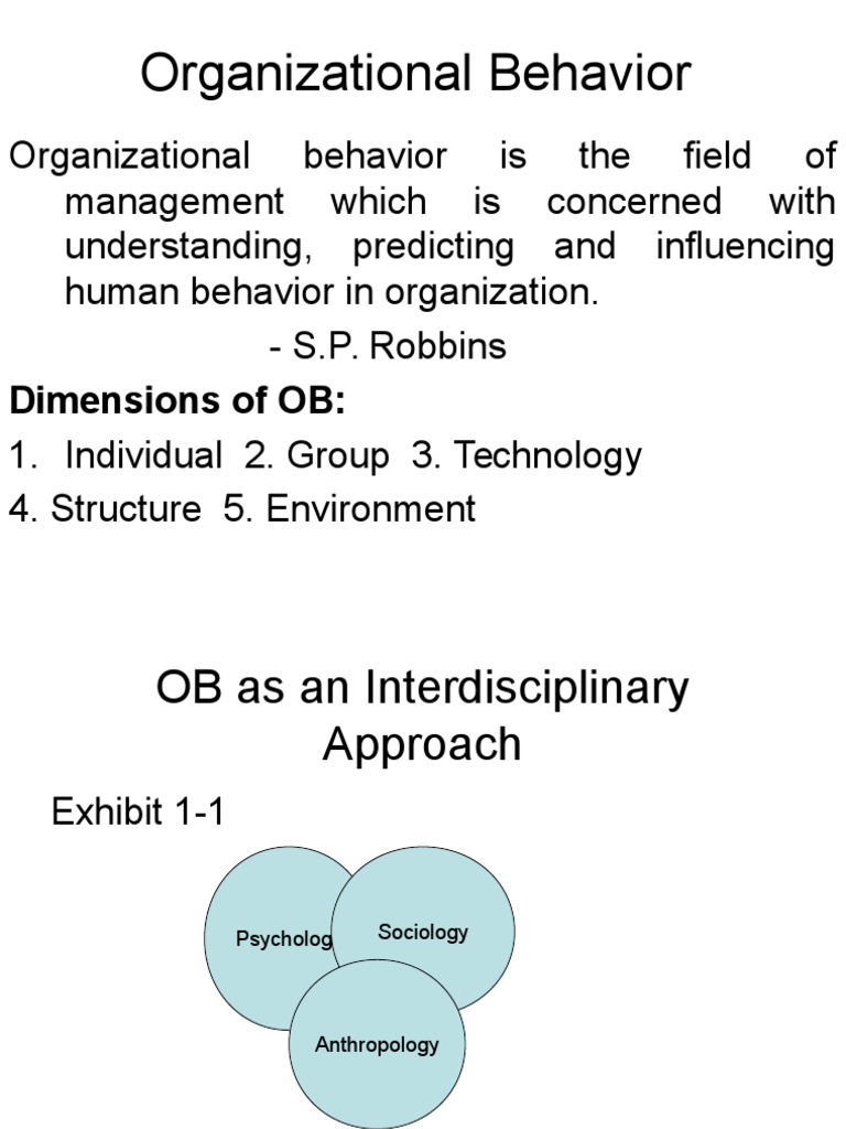 Organizational Behavior: Dimensions of OB | PDF | Organizational Behavior | Behavior
