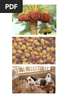 Gatch Material | PDF | Density | Soil