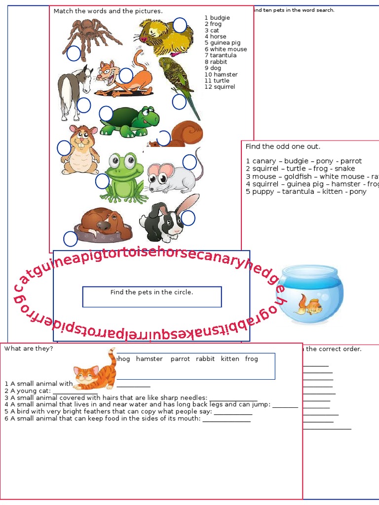 Pets 3 Vocabulary Exercises | PDF