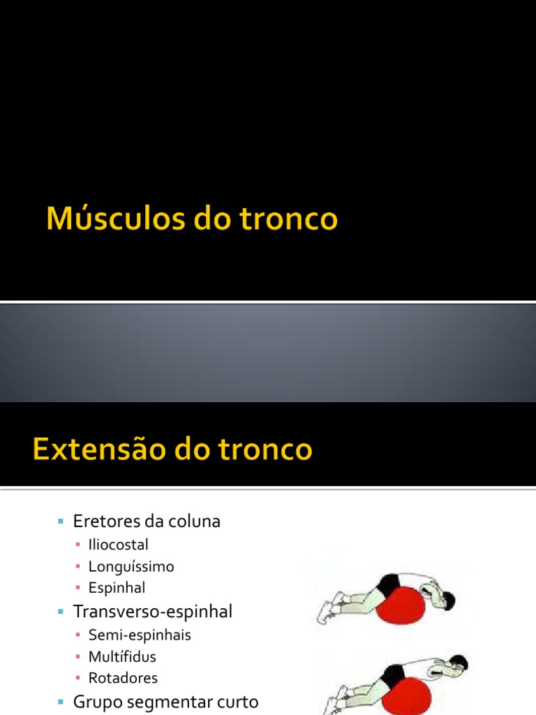 Músculos Do Tronco | PDF