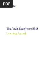 Guide Journal Entry Testing | PDF | Audit | Internal Control