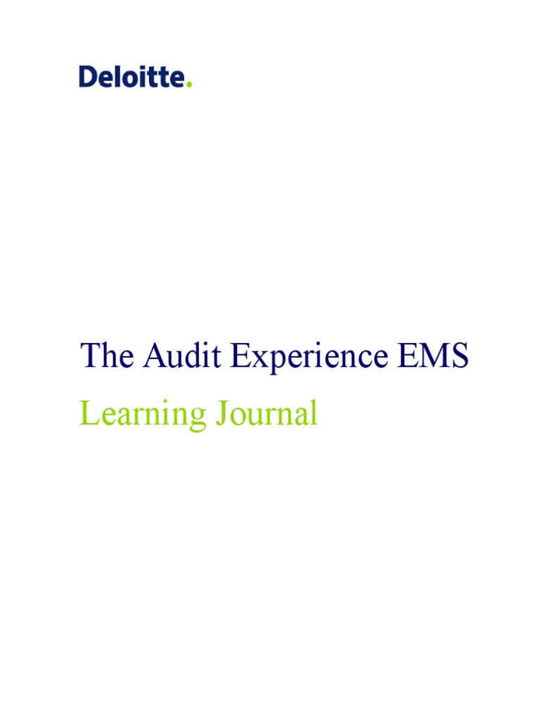 The Audit Experience Learning Journal EMS V16 | PDF | Audit | Risk ...