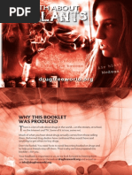 Drug Users Inhalants Rugby Boys | PDF