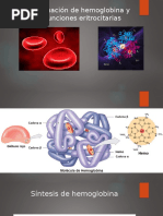 CODOCITOS | PDF | Glóbulo rojo | Sangre