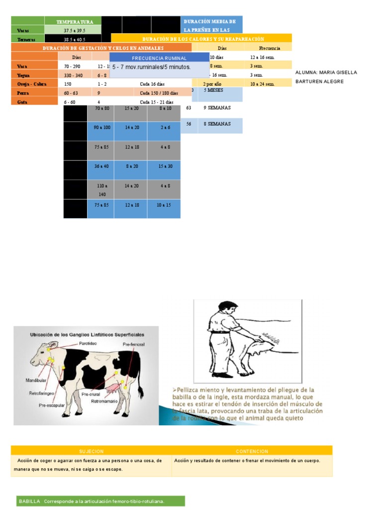 Para Ficha Tecnica Bovinos | PDF | Vacas | Animales cosmopolitas